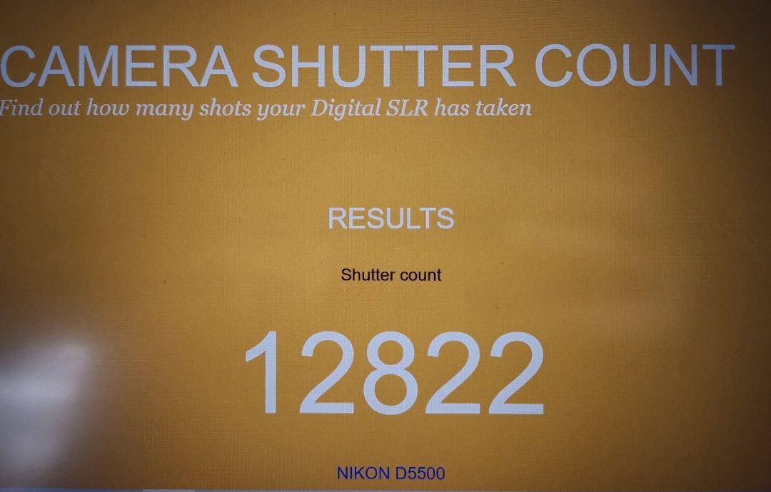 nikon coolpix shutter count