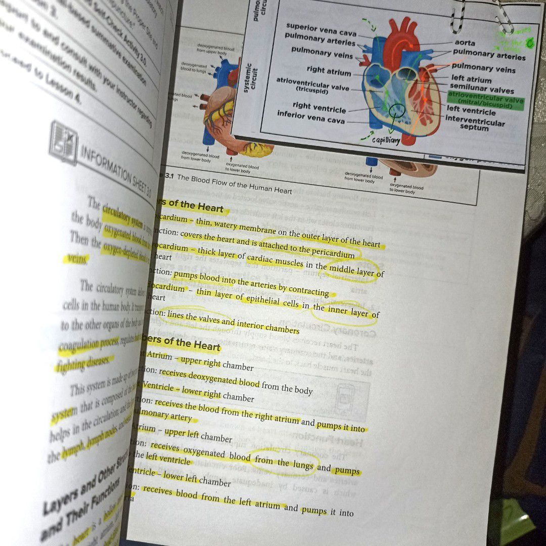 Principles of Medical Laboratory Science 2 (PMLS 2), Hobbies & Toys ...