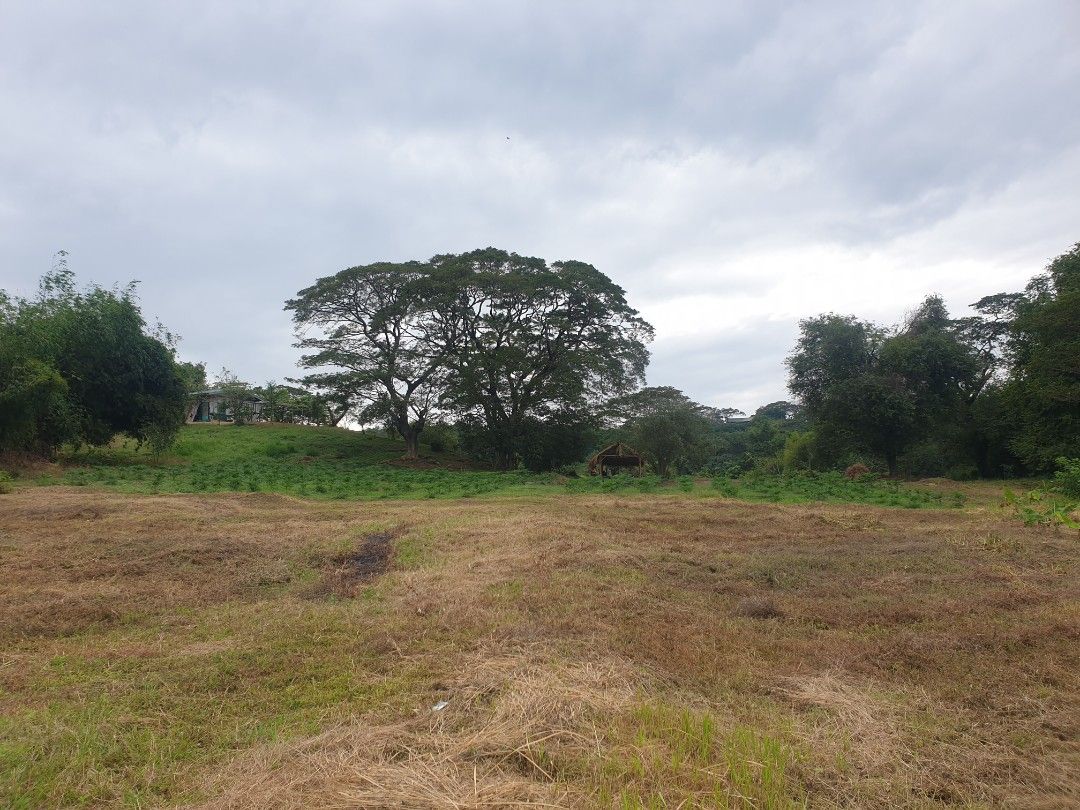 Farm Lot for Sale in Magalang, Pampanga, Property, For Sale, Lot on ...