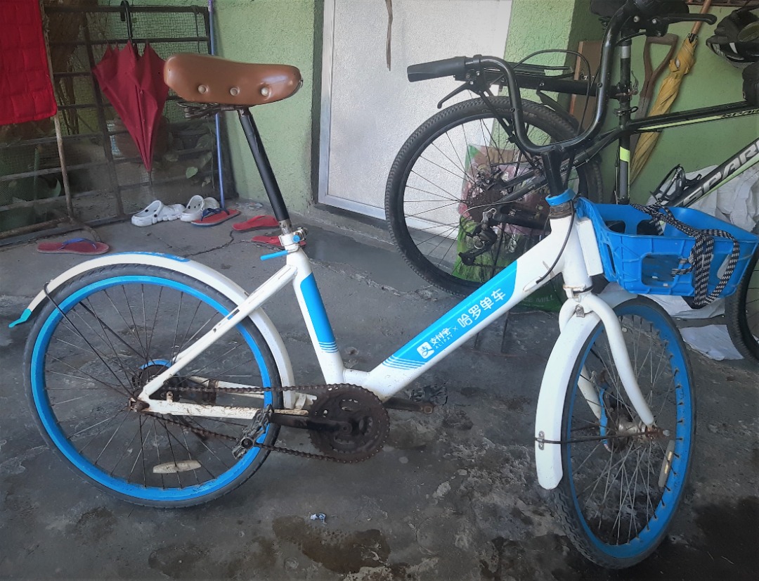 Hello Bicycle (Perfect utility/leisure bike), Sports Equipment ...