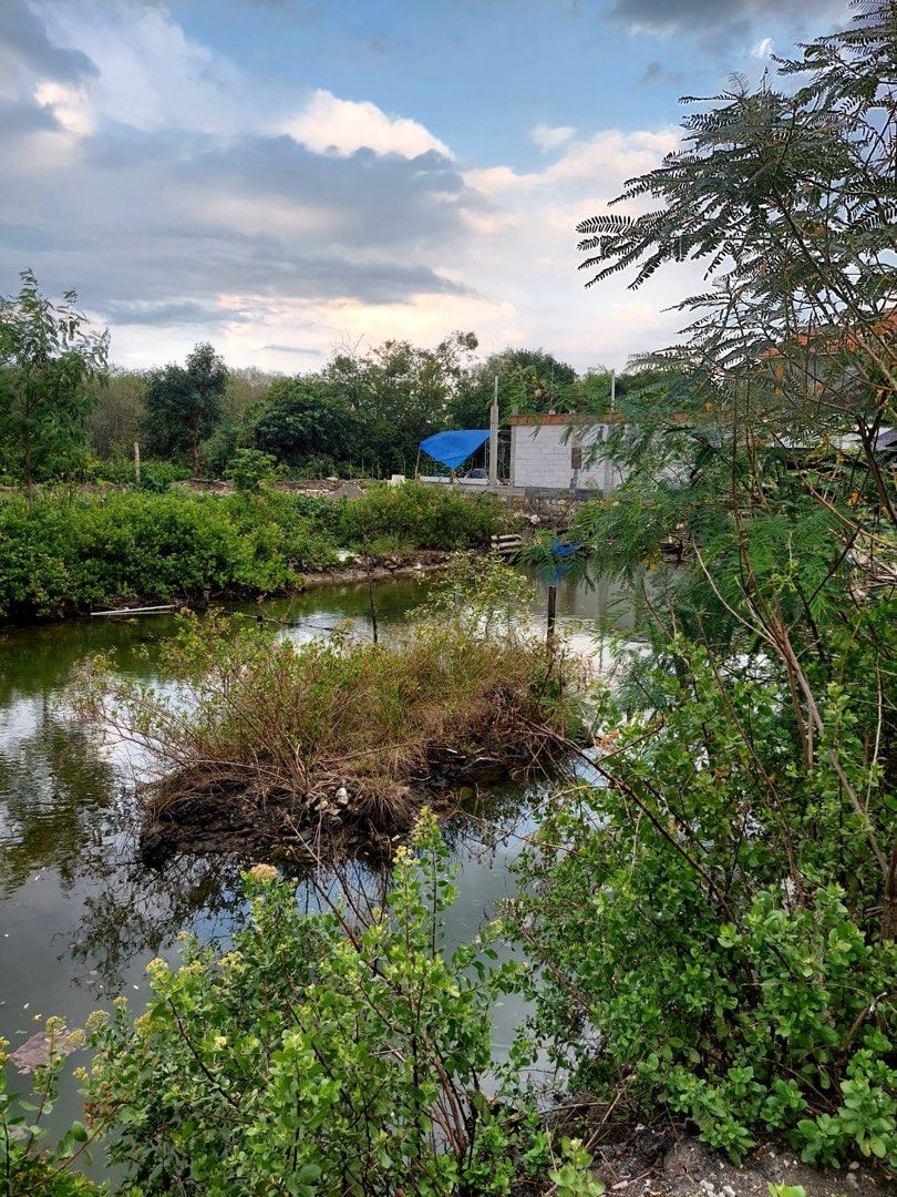 Jual Tanah Gunung Anyar 7*15, Properti, Dijual di Carousell