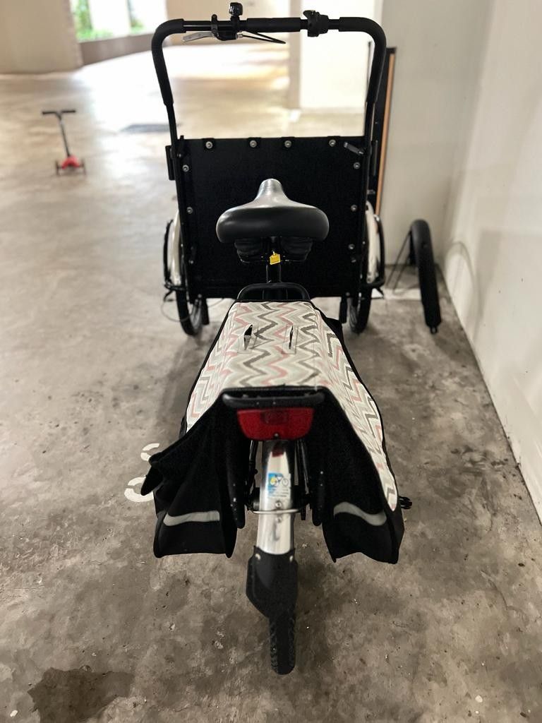 Original Dutch tricycle with seat for kids (3 wheels bike), Sports ...