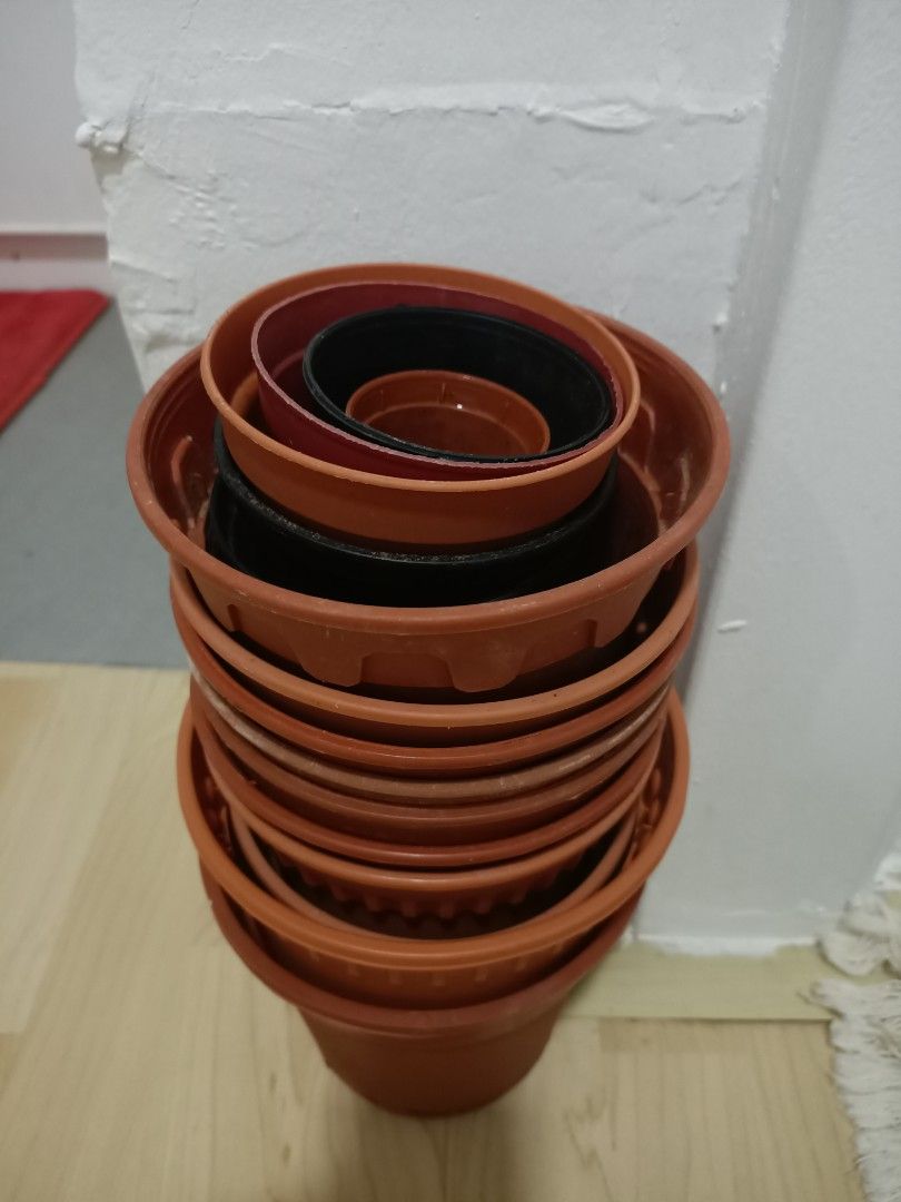 Planters/Plant Pots, Furniture & Home Living, Gardening, Pots ...