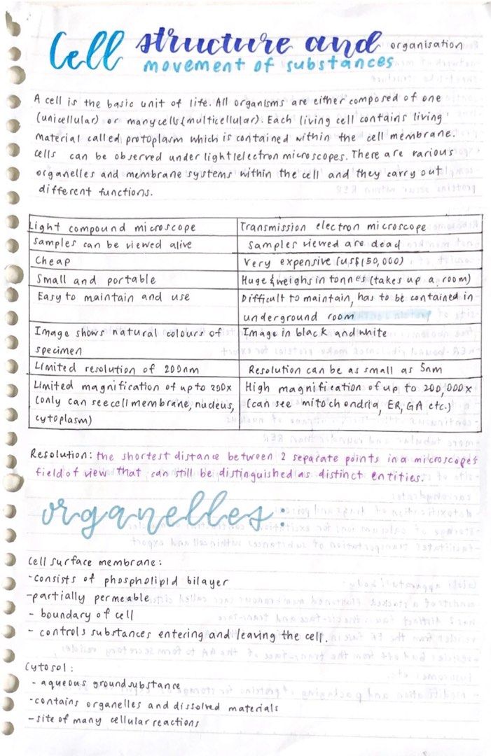 STRAIGHT As | CHEAP O level triple science + full history (pure biology ...