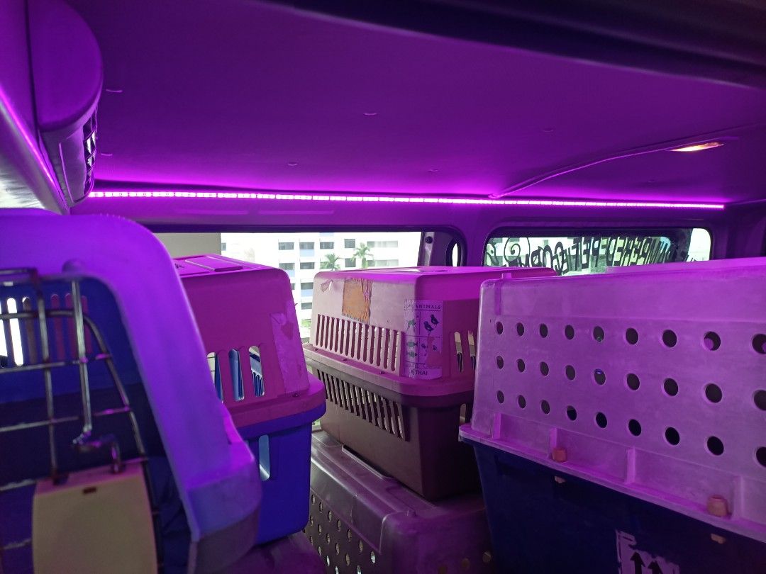 Toyota Hiace Lightings, Car Accessories, Electronics & Lights on Carousell