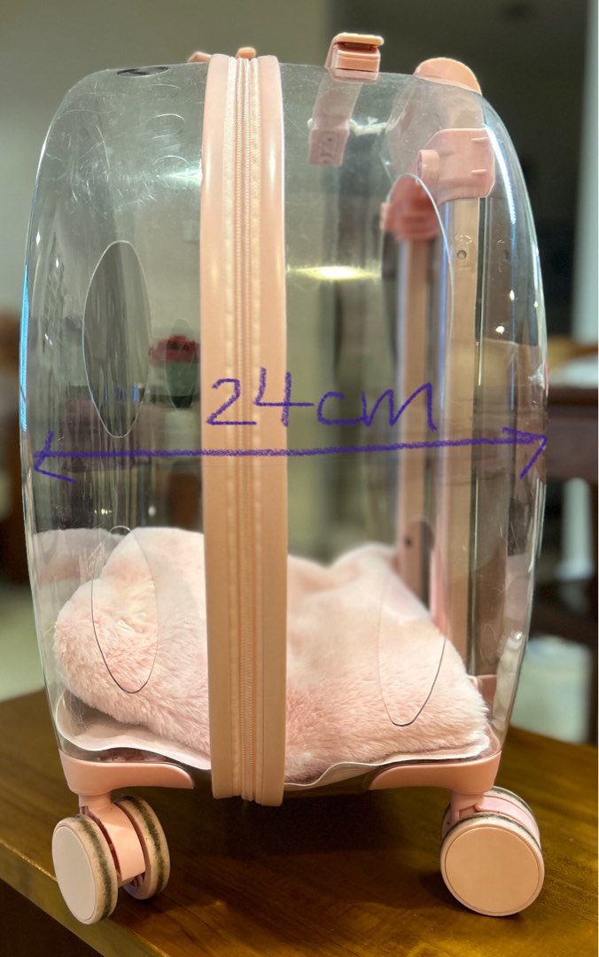 Transparent trolley carrier for cat, Pet Supplies, Homes & Other Pet ...