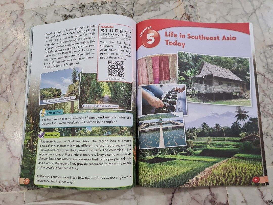 Very Good Condition Primary 5B Social Studies Textbook, Hobbies & Toys ...