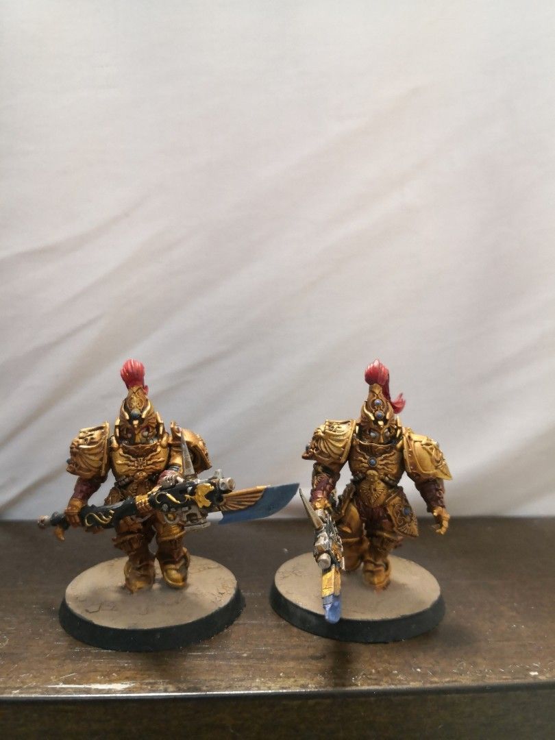 Warhammer 40k: Custodes Guard Squad, Hobbies & Toys, Toys & Games on ...