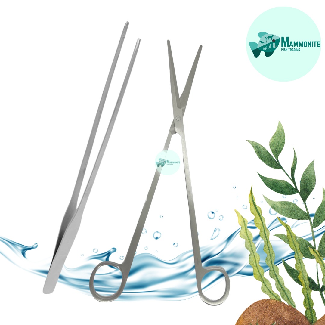 Aquarium Tank Planting Scissors Tweezers for Aquatic Plants 48cm, Pet ...