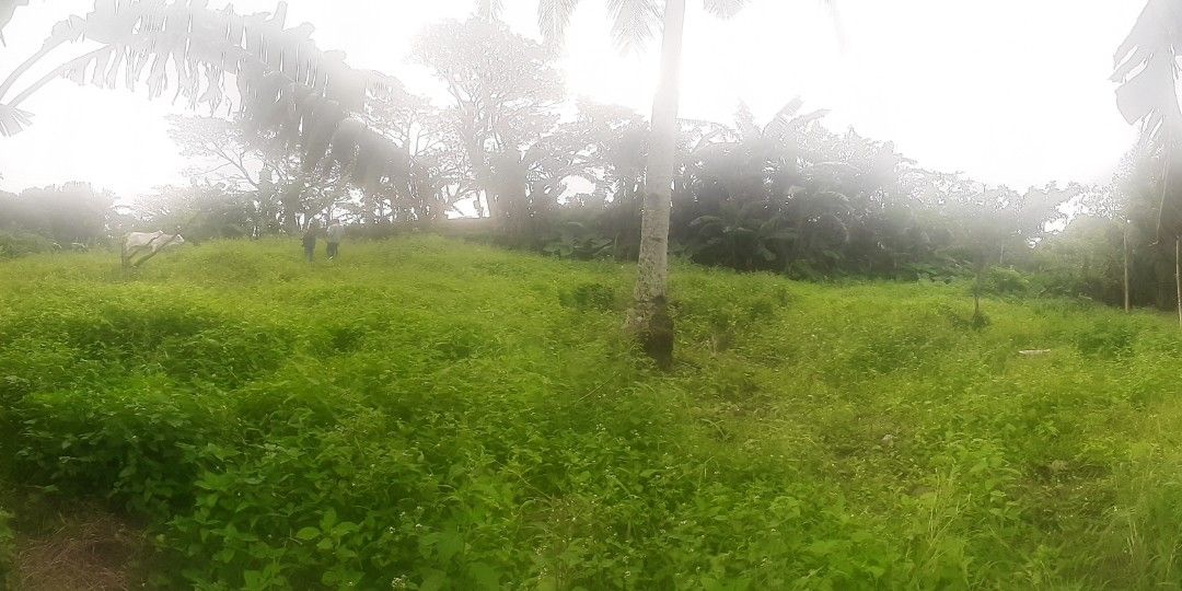 Balubad silang , cavite, Property, For Sale, Lot on Carousell