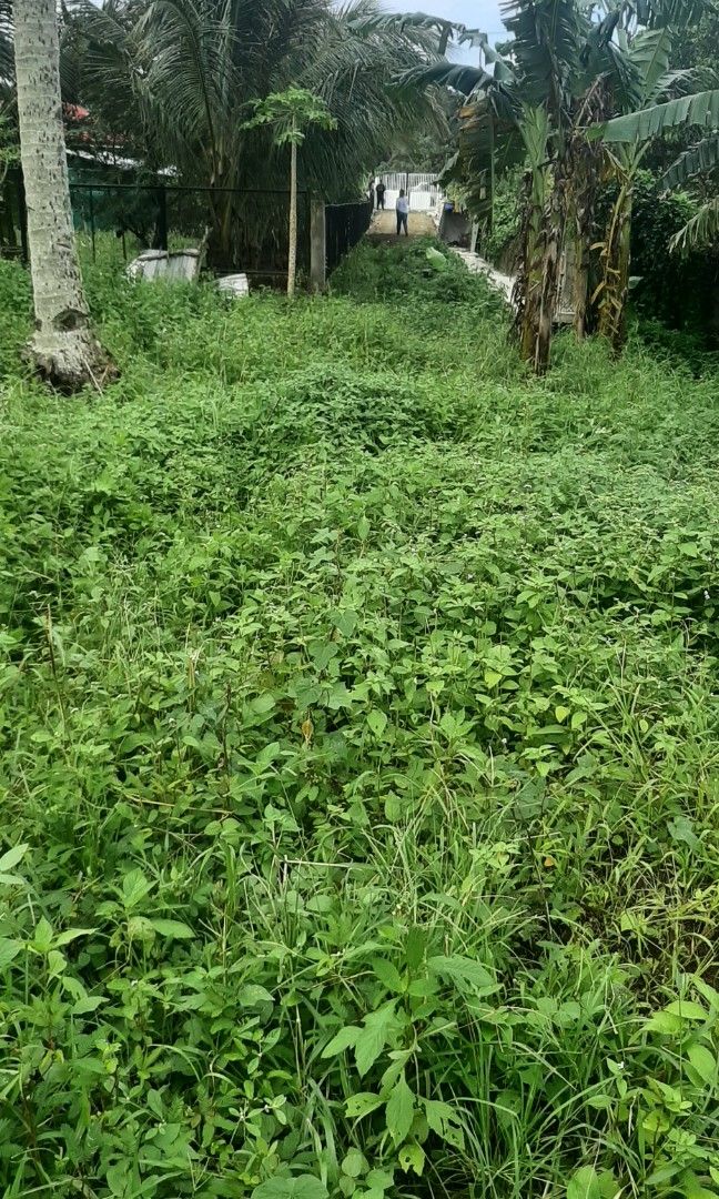 Balubad silang , cavite, Property, For Sale, Lot on Carousell