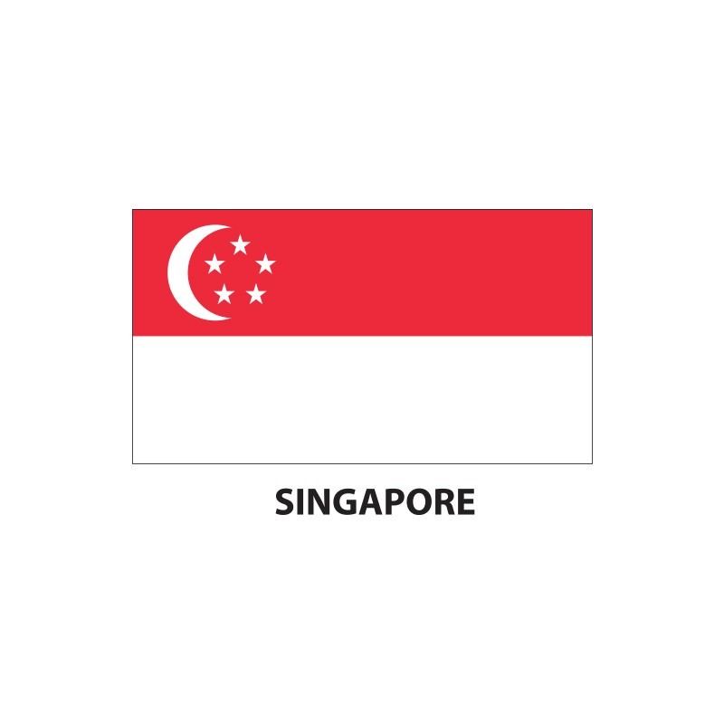 Bendera Singapore Polyester 3 X 6ft Hobbies And Toys Stationery And Craft Stationery And School 