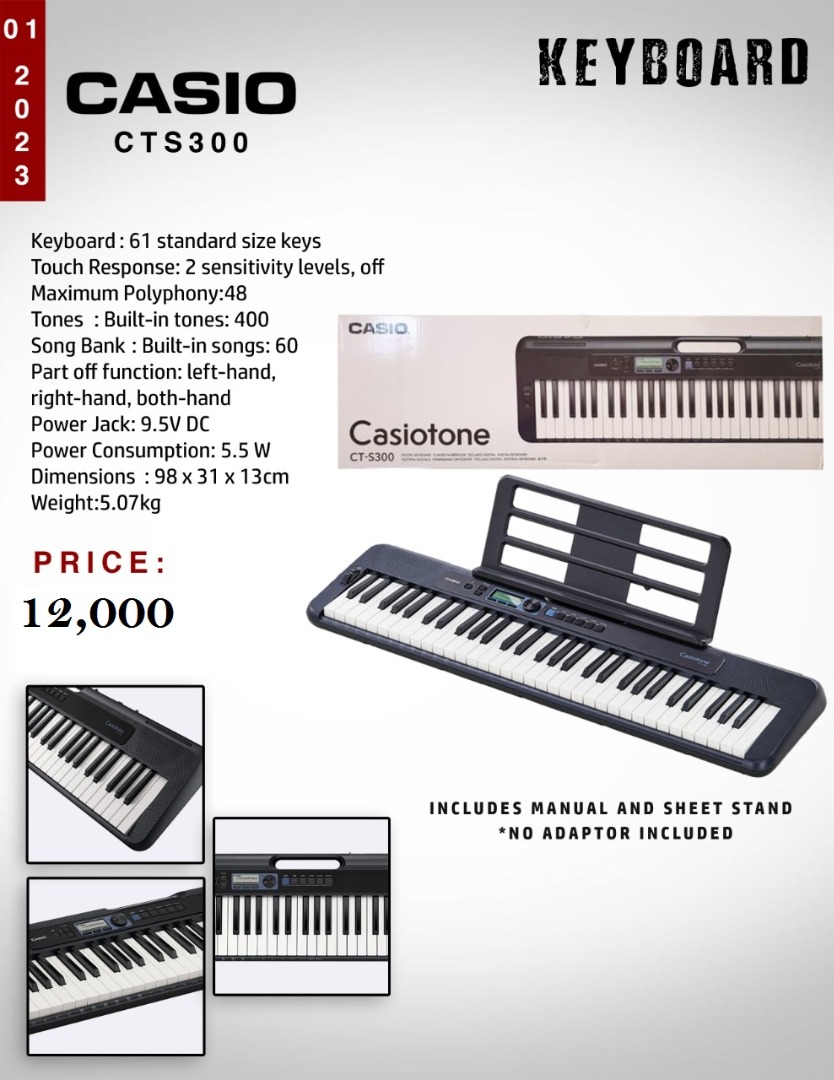 Casio CTS-300 Portable Keyboard, Hobbies & Toys, Music & Media, Musical ...