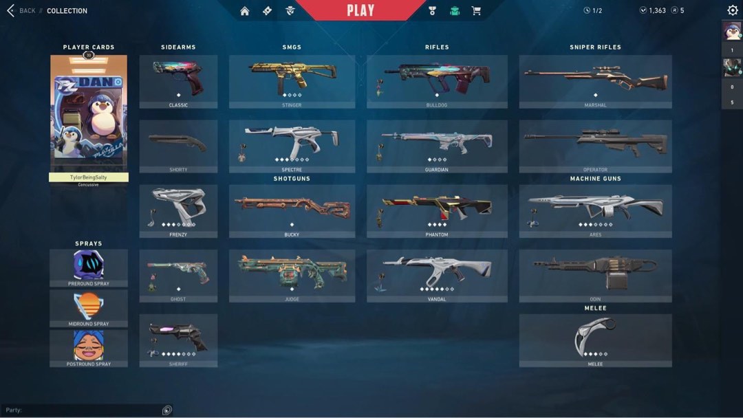 CHAMPIONS BUNDLE+ION BUNDLE, 9 PREMIUM VALORANT ACCOUNT#66, Video ...