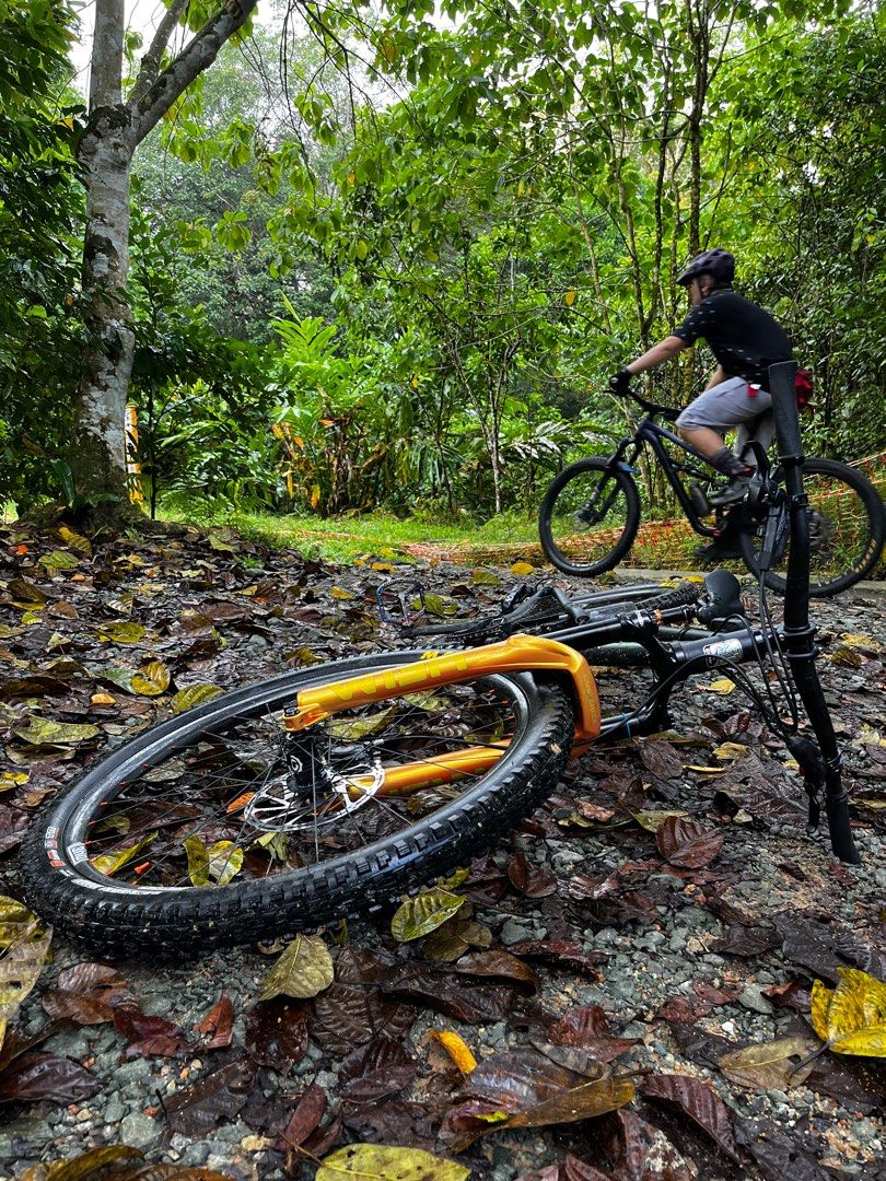 Cotic Flaremax Gen 4 Steel MTB, Sports Equipment, Bicycles & Parts ...