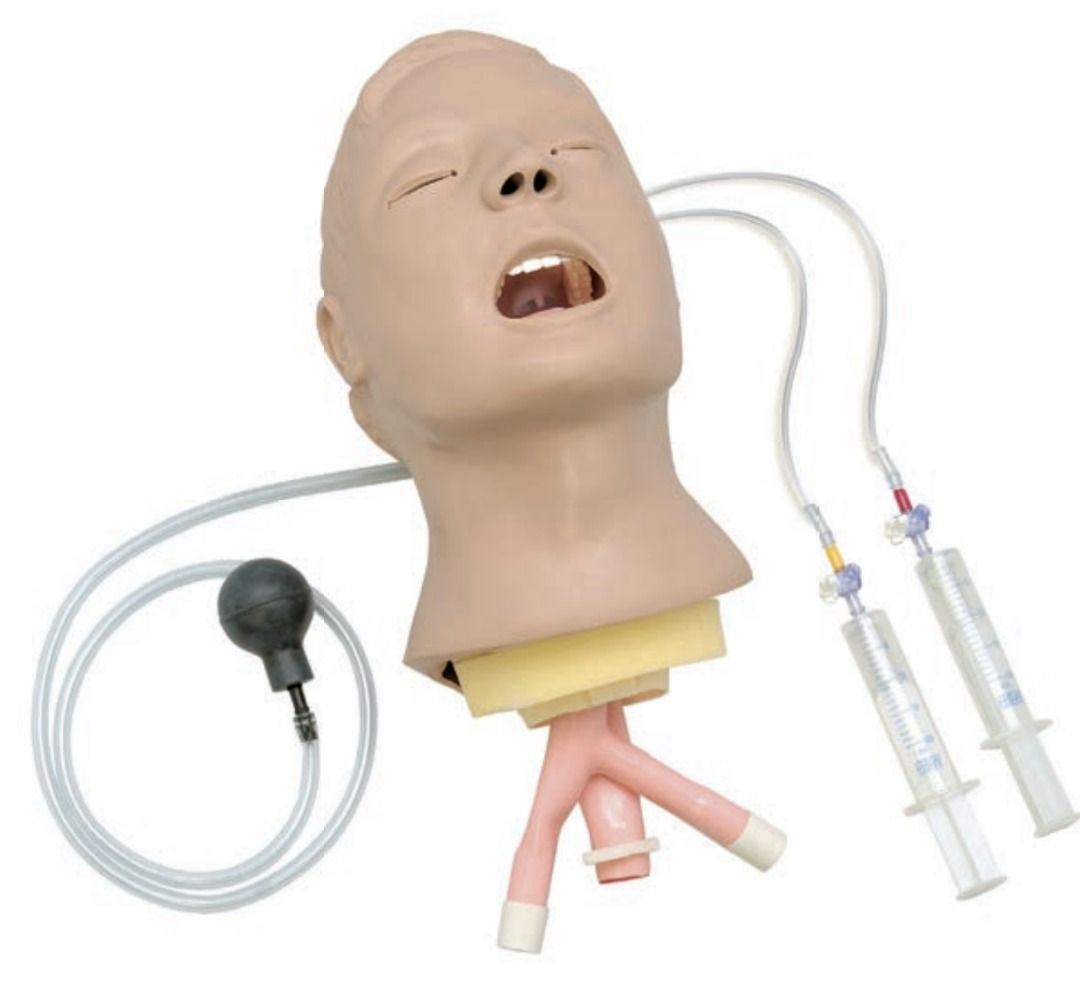 INTUBATION TRAINING MANNEQUIN, Health & Nutrition, Medical Supplies ...