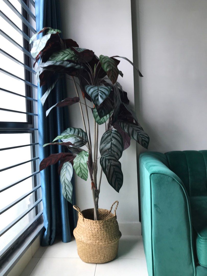 KAISON Artificial Tree, Furniture & Home Living, Home Decor, Artificial ...