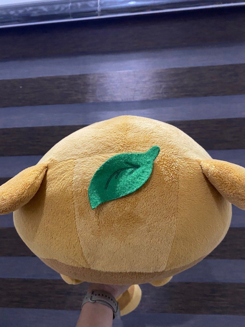 Rascal Racoon plush, Hobbies & Toys, Toys & Games on Carousell