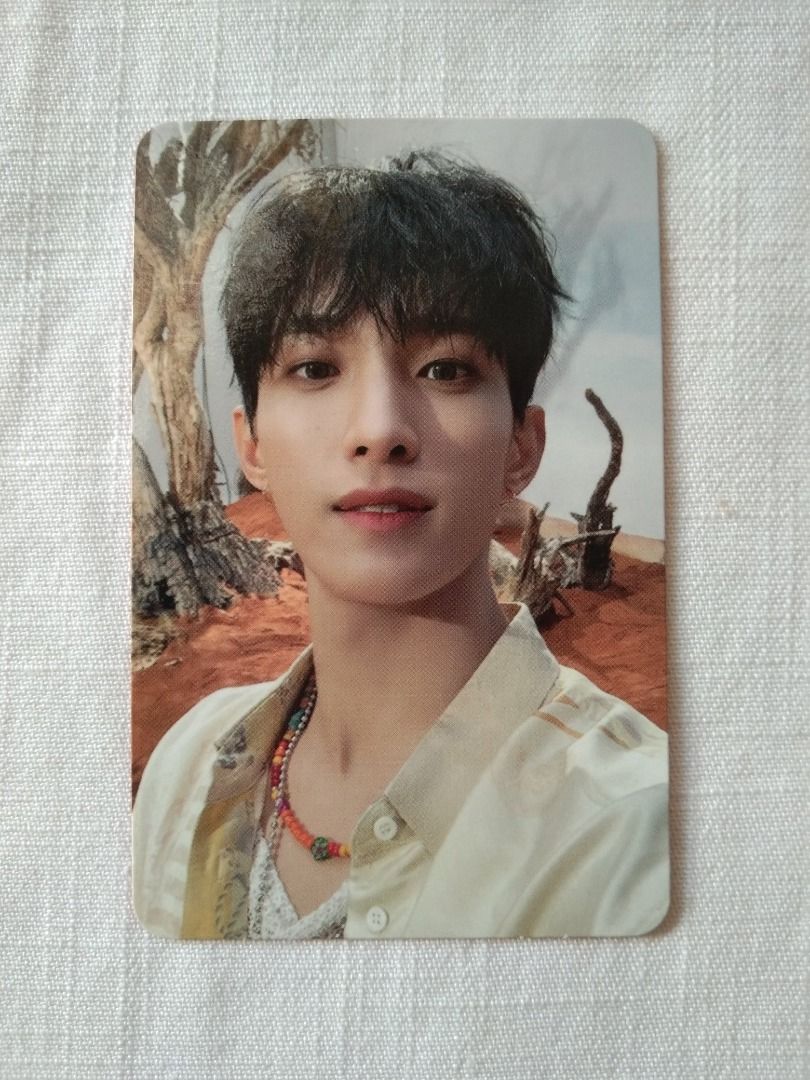 Seventeen DK Face The Sun Photocard (Ray), Hobbies & Toys, Memorabilia & Collectibles, K-Wave on ...