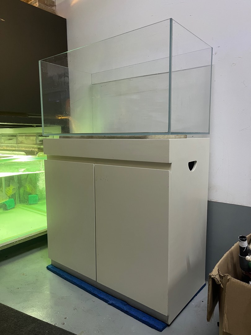 3ft crystal glass tank, Pet Supplies, Homes & Other Pet Accessories on ...