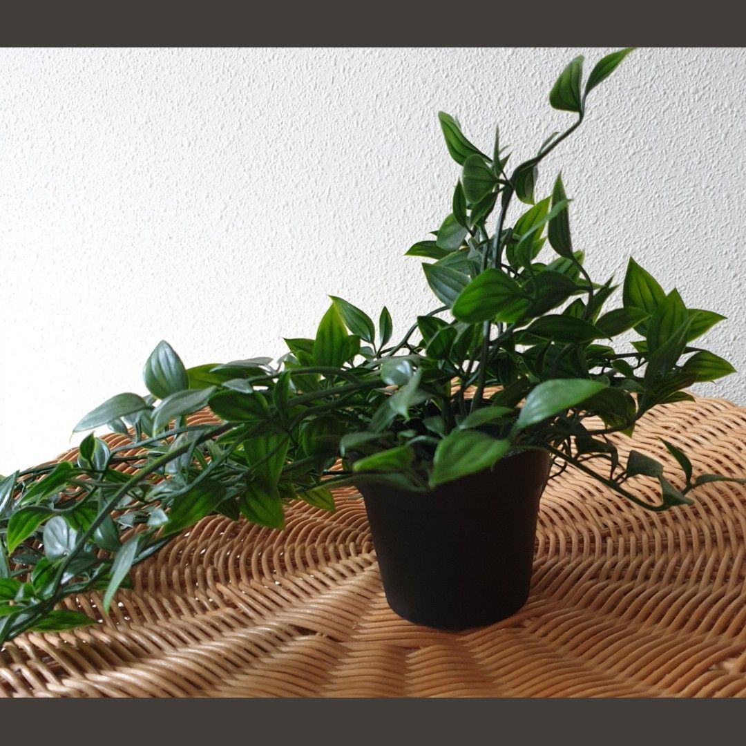 Bird cage with artificial plant, Furniture & Home Living, Home Decor ...