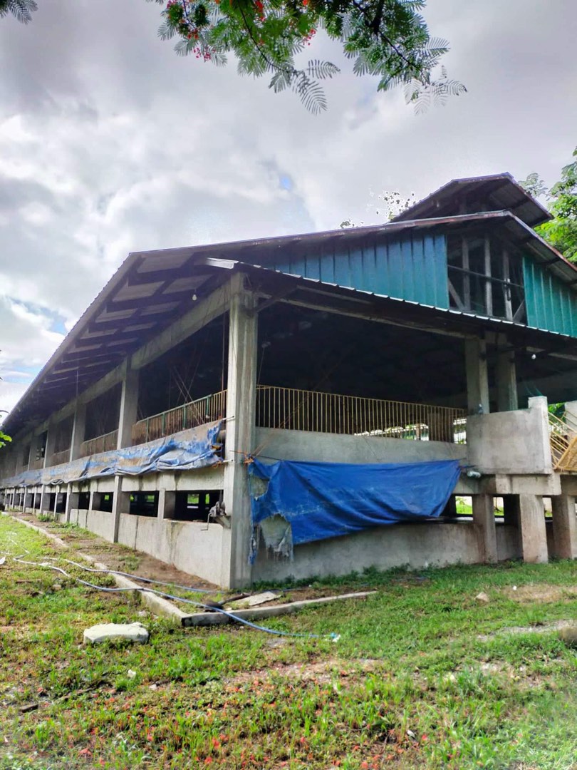 Piggery Farm in Batangas: Hog Grower Farm, Property, For Sale ...