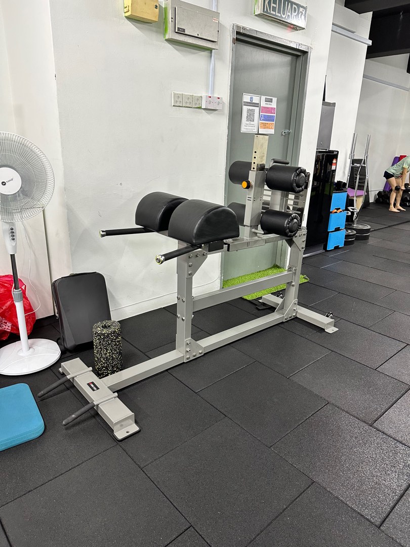 Glute Hamstring Developer (GHD), Sports Equipment, Exercise & Fitness ...
