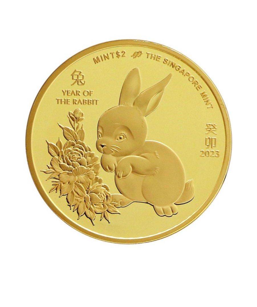 Golden Rabbit Medallion with Gold foil Note Set, Hobbies & Toys ...