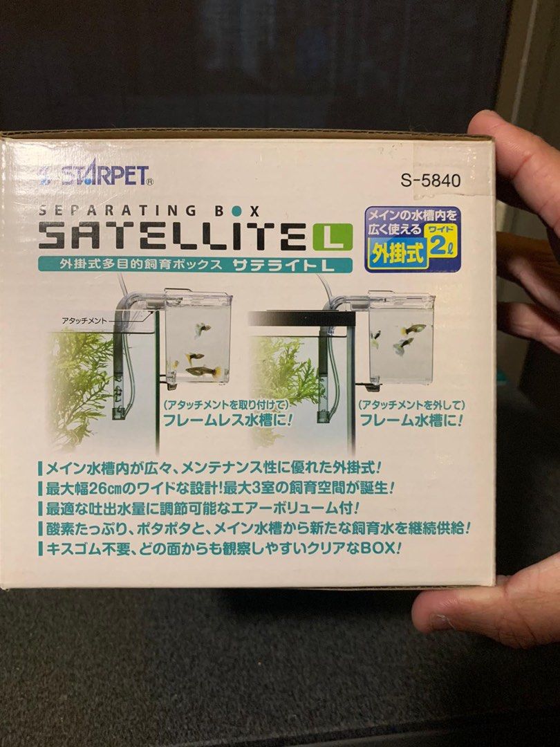 Isolation Fish Tank, Pet Supplies, Homes & Other Pet Accessories on ...