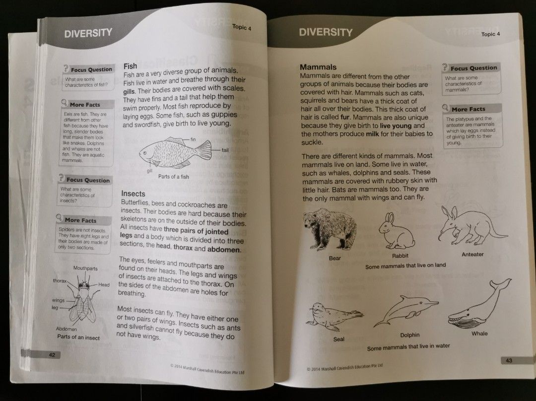 MC education - Primary Science revision essential P3 & 4 books A & B ...