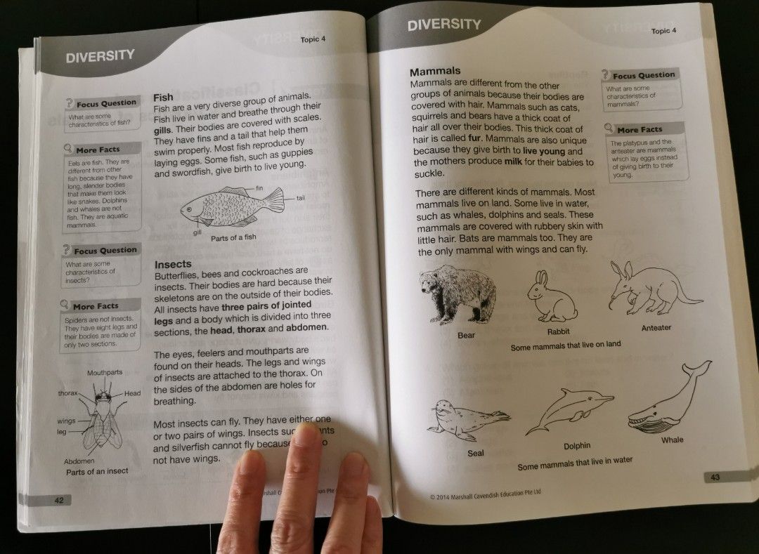 MC education - Primary Science revision essential P3 & 4 books A & B ...
