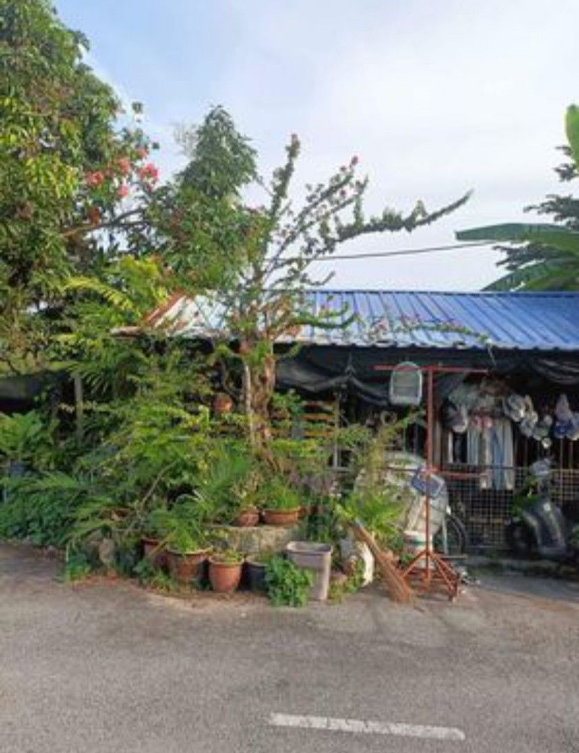 Pokok Bonsai bunga kertas.., Hobbies & Toys, Stationery & Craft ...