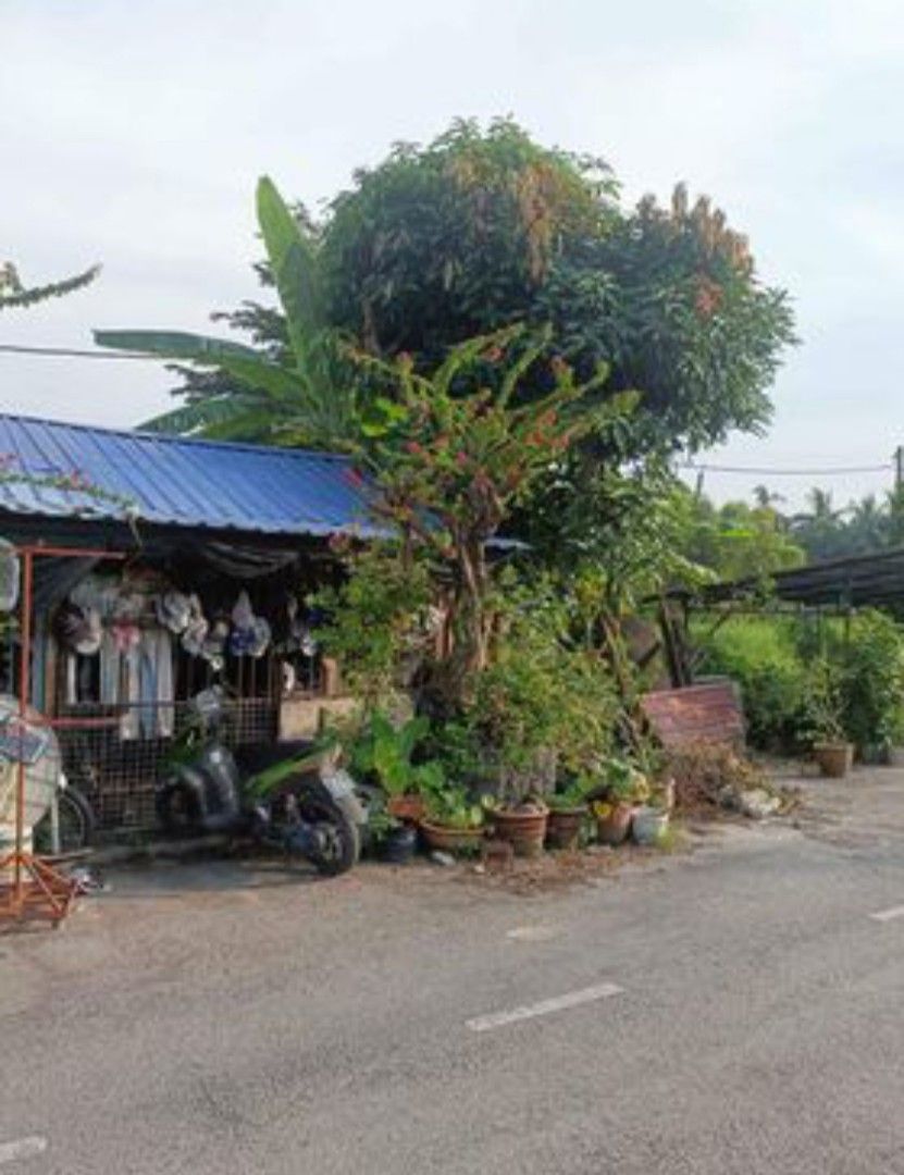 Pokok Bonsai bunga kertas.., Hobbies & Toys, Stationery & Craft ...