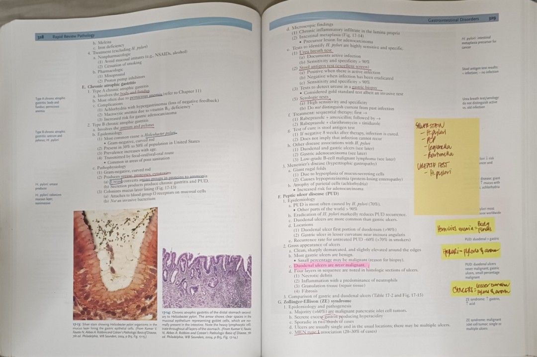 Rapid Review Pathology 3rd Ed., Hobbies & Toys, Books & Magazines, Textbooks on Carousell