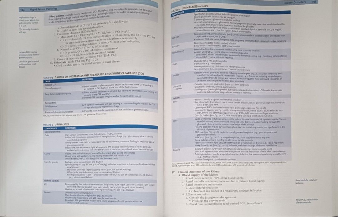 Rapid Review Pathology 3rd Ed., Hobbies & Toys, Books & Magazines, Textbooks on Carousell