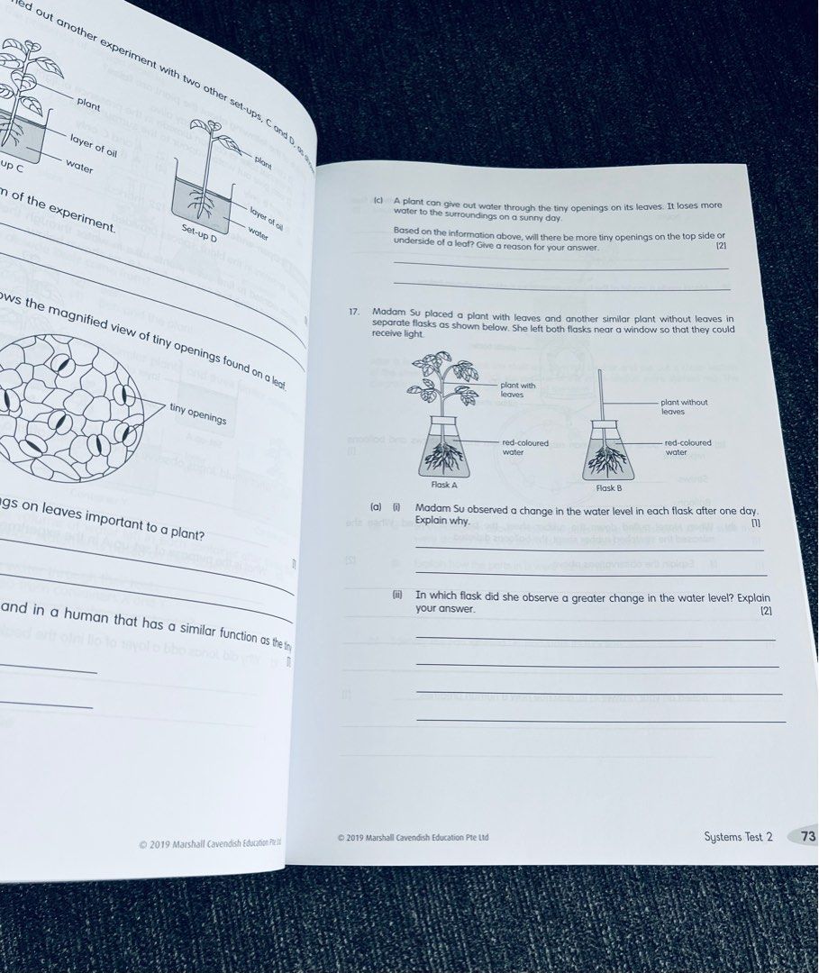 Science Tests XTRA P5&6 PSLE - Brand New, Hobbies & Toys, Books ...