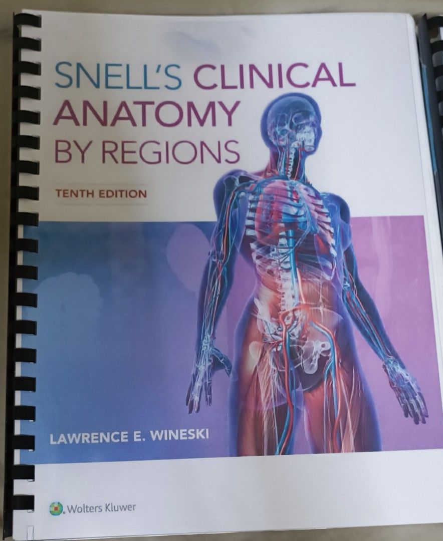 Snell Clinical Anatomy by Regions 10th Ed., Hobbies & Toys, Books ...