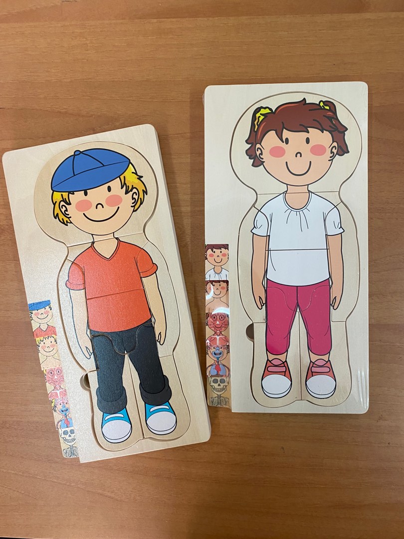 人體 拼板 科學 $50/份 $90/兩份一套, 興趣及遊戲, 玩具 & 遊戲類 - Carousell