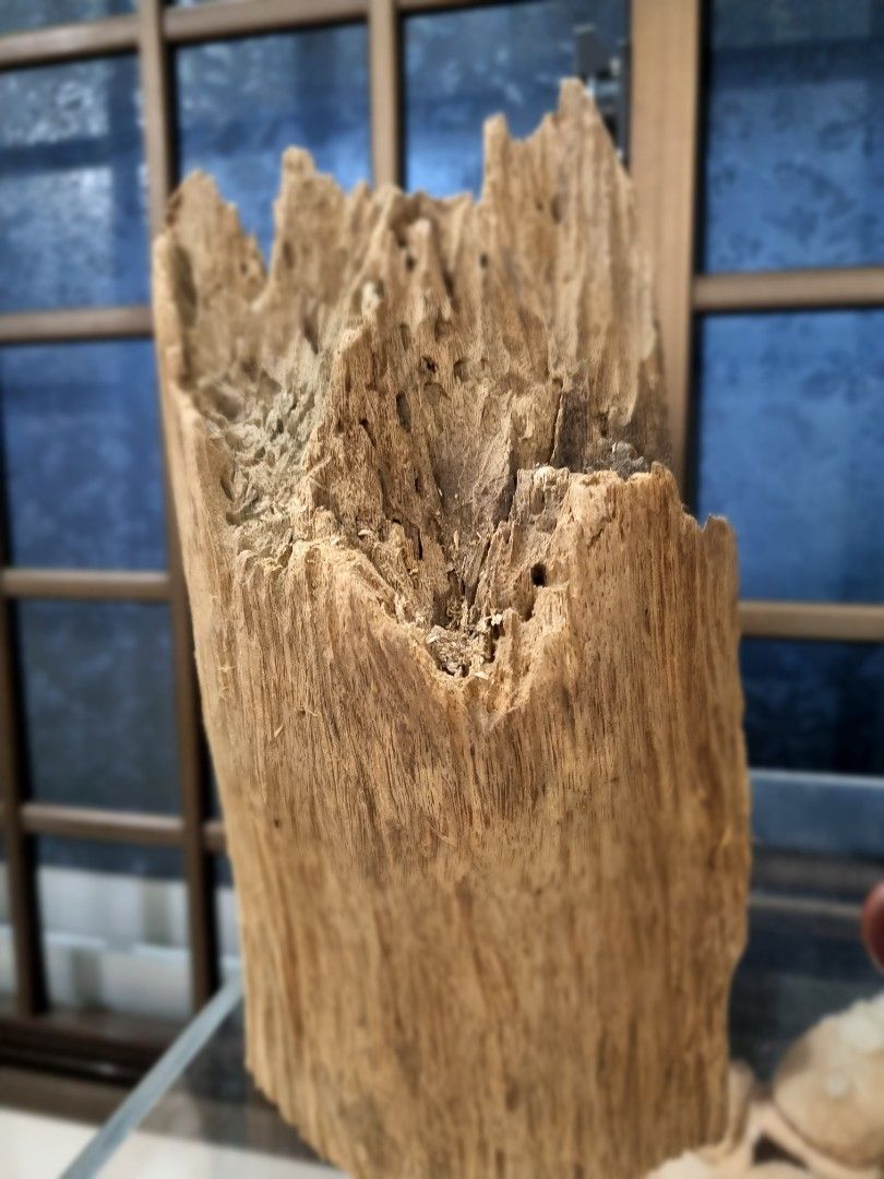 Agarwood display, Hobbies & Toys, Memorabilia & Collectibles, Vintage ...