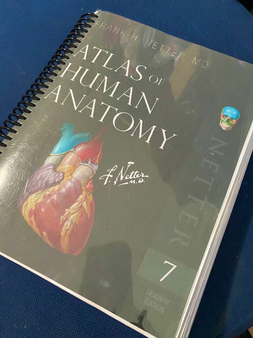 Atlas of Human Anatomy 7th Ed (Frank H. Netter MD), Hobbies & Toys ...