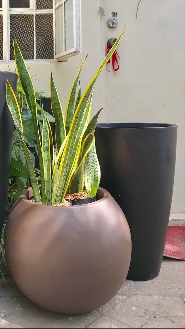 Balloon Pots, Furniture & Home Living, Gardening, Pots & Planters on ...