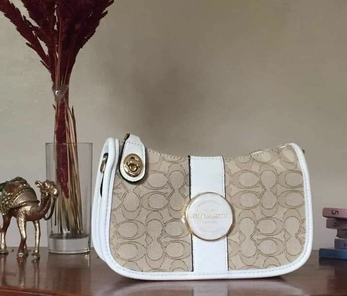 Coach bag, Luxury, Bags & Wallets on Carousell