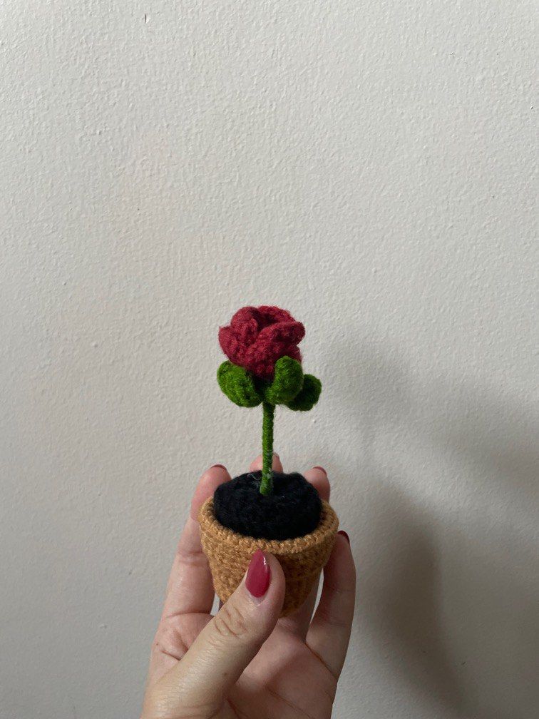 Crochet Rose Pot, Hobbies & Toys, Stationery & Craft, Flowers & Bouquets on Carousell