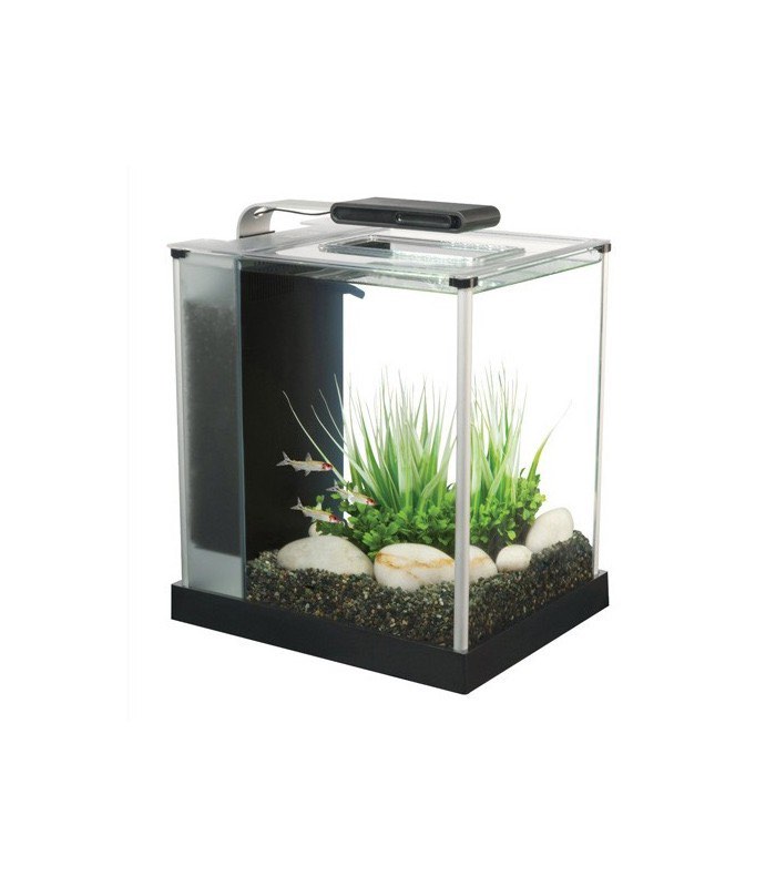 Fluval 10l, Pet Supplies, Homes & Other Pet Accessories on Carousell