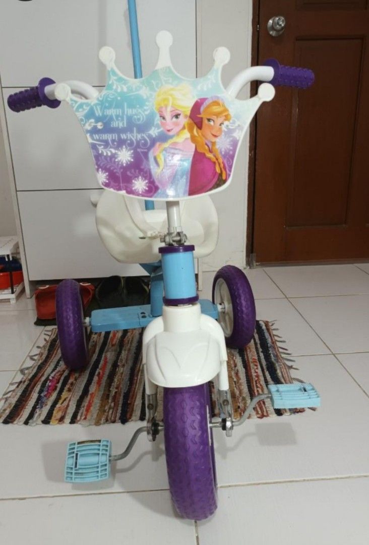 FROZEN ELSA and Anna Bike, Sports Equipment, Bicycles & Parts, Bicycles on Carousell