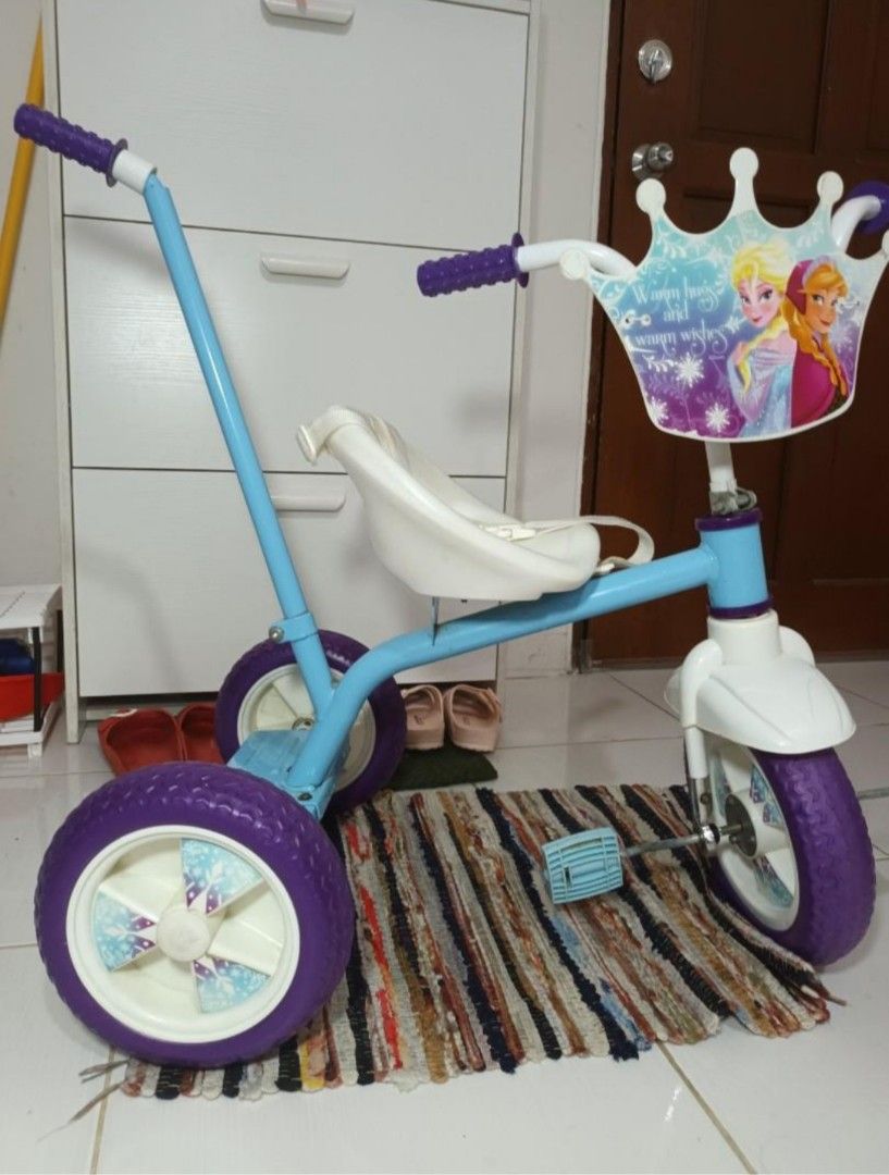 FROZEN ELSA and Anna Bike, Sports Equipment, Bicycles & Parts, Bicycles on Carousell