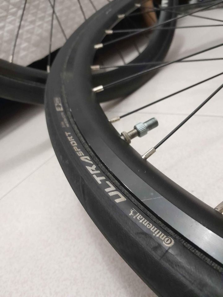 HPLUS SON SUZUE PROMAX CONTINENTAL WHEELSET, Sports Equipment, Bicycles ...