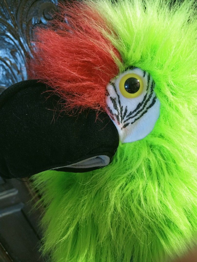 JUMBO SIZE BEAUTIFUL REALISTIC PARROT HAND PUPPET, Hobbies & Toys, Toys ...