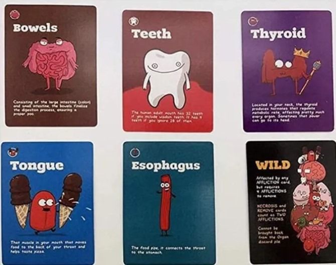 Organ Attack Card Game Family Friendly Organ Picking Game (H0241 ...