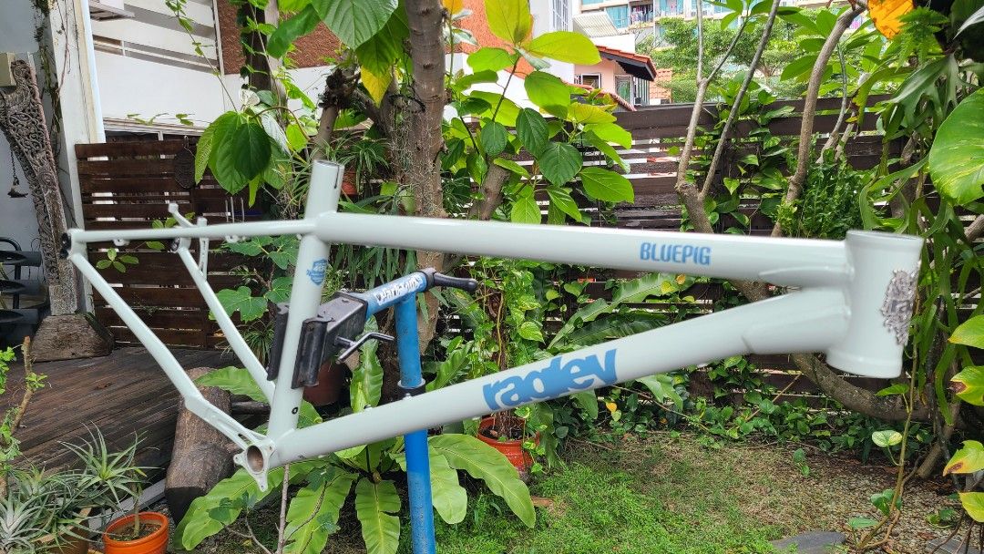 Ragley Blue Pig - Steel MTB frame, Sports Equipment, Bicycles & Parts ...